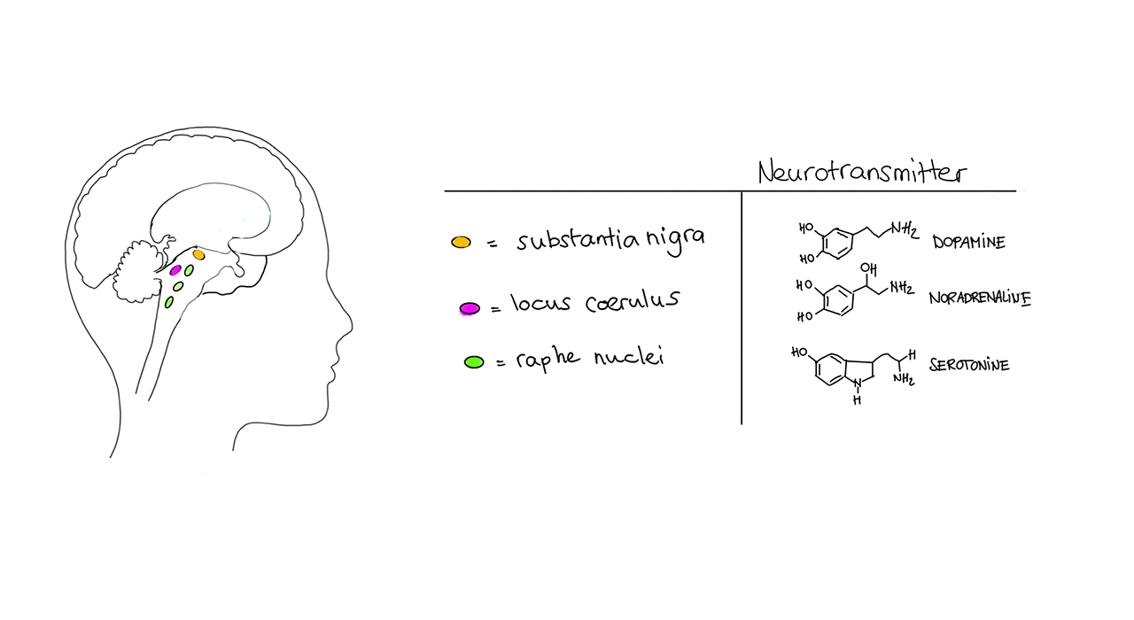 The Neuro D-Generation and the art of zooming out – My CMS